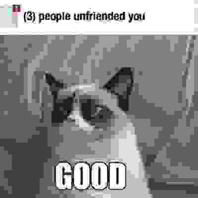 Laugh at 17 Funniest Grumpy Cat Pictures