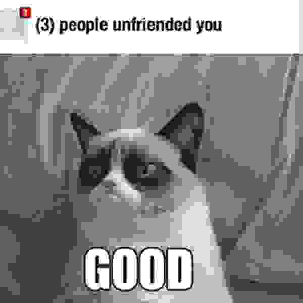 Laugh at 17 Funniest Grumpy Cat Pictures