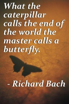 Richard Bach Quotes That Will Amaze You