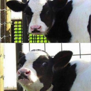 30 Really Funny Calculus Jokes | Laugh Away | Humoropedia