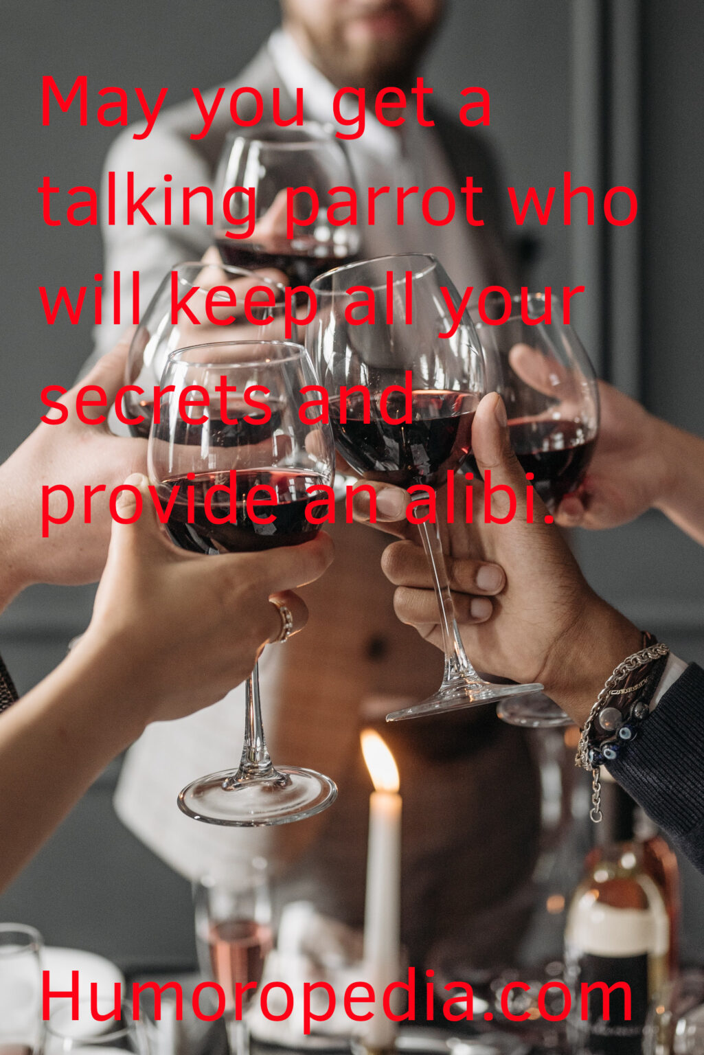 Funny Toasts: 55+ Best Your Friends Will Remember