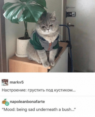 33 Funny Russian Jokes And Puns | Laugh Away Right Now