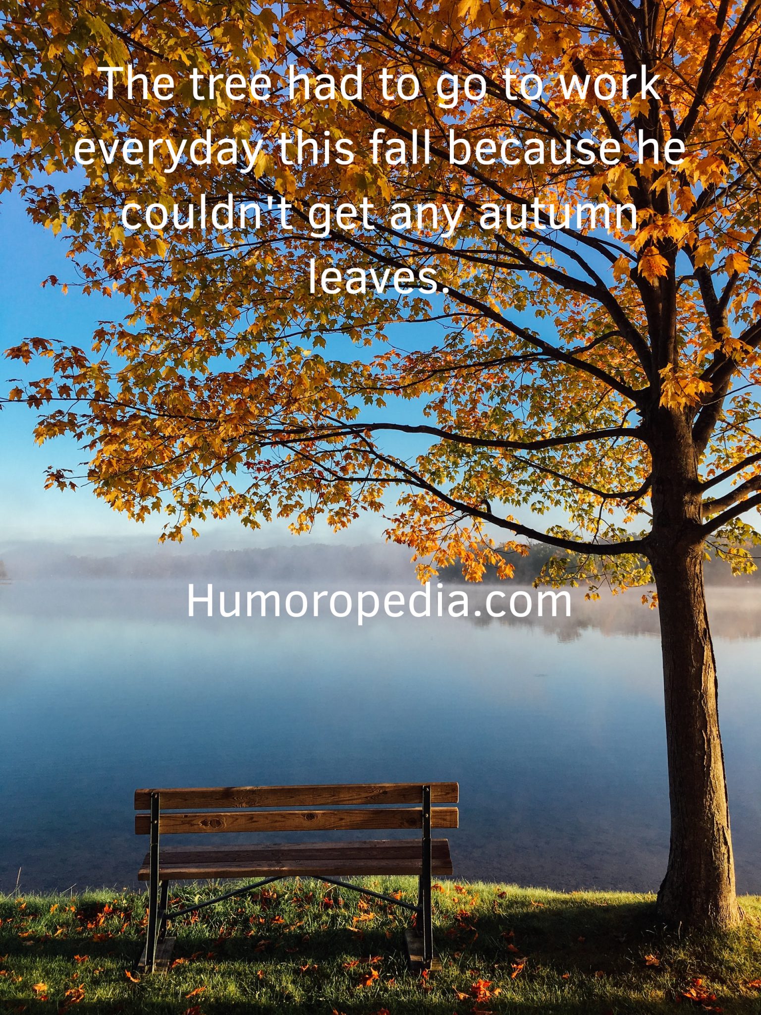 Fall Puns: 27 Most Funny Autumn Puns You'll Remember & More