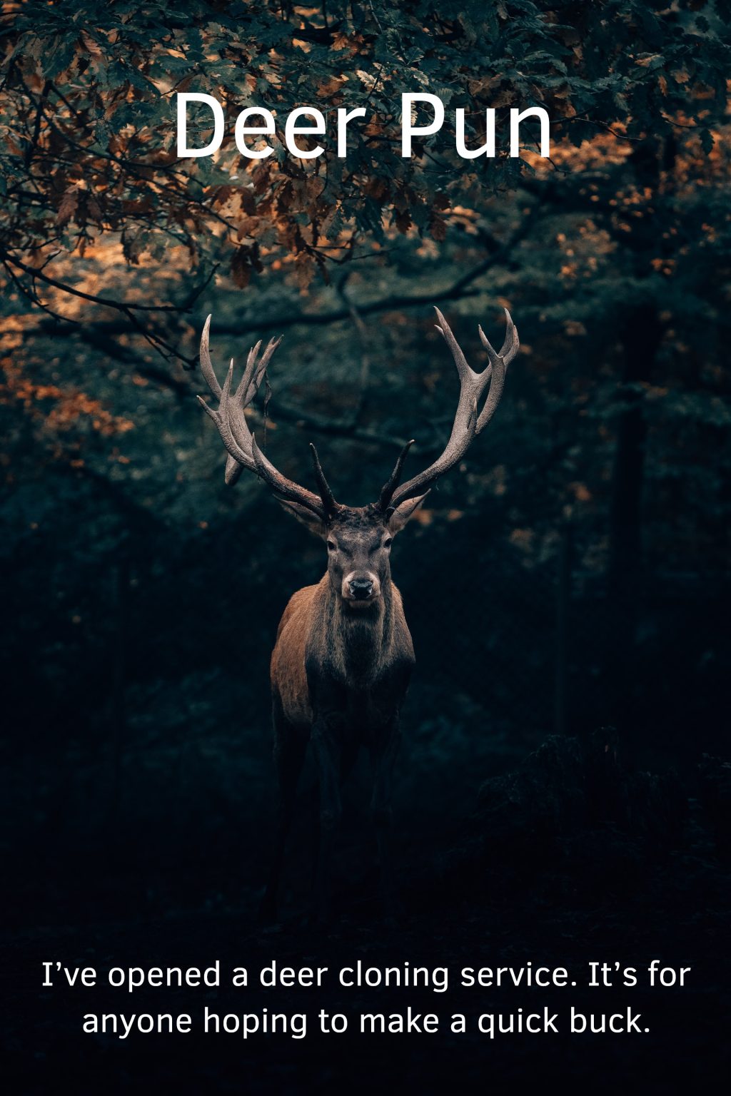 Deer Puns & Jokes: 19 Funniest & More To Enjoy | Humoropedia